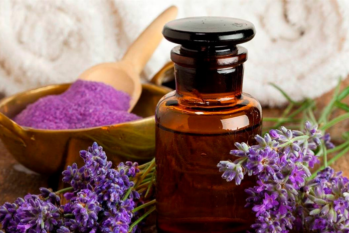 Propiedades medicinales de la lavanda | Blog eColón